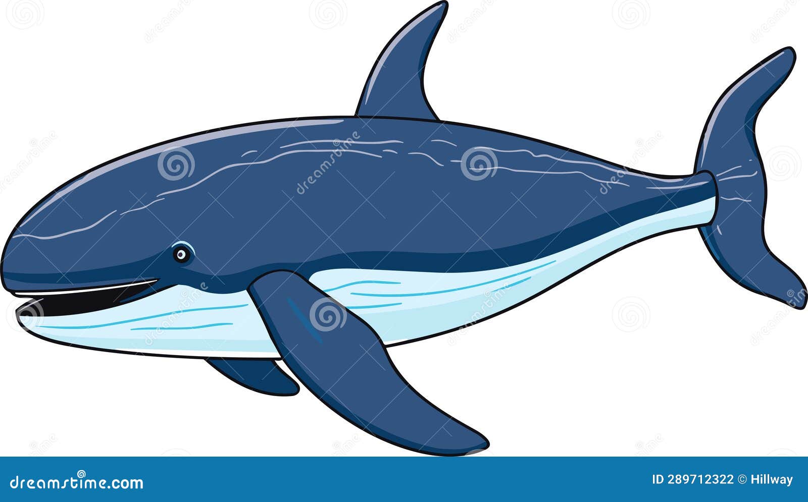 Whale As Sea Animal Floating Underwater Vector Stock Illustration ...
