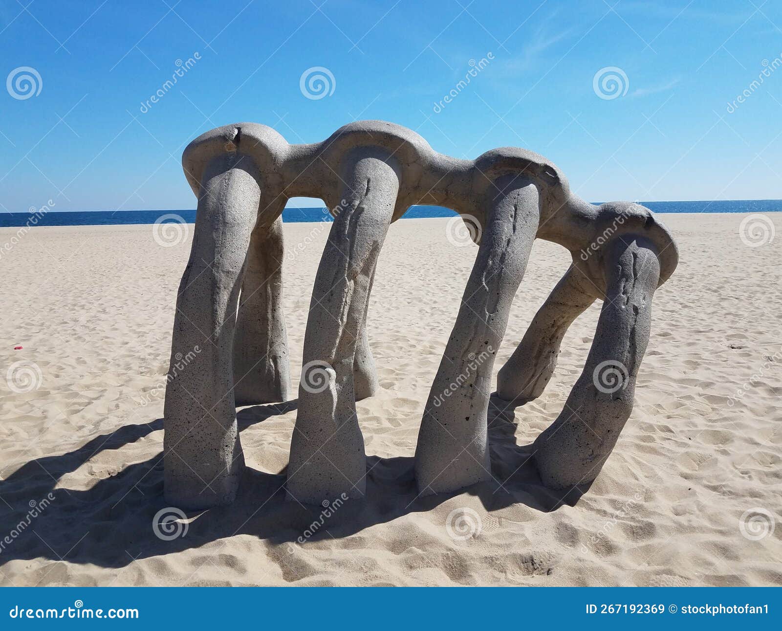 Whale Bones Rib Cage at Beach with Water Stock Image - Image of ...