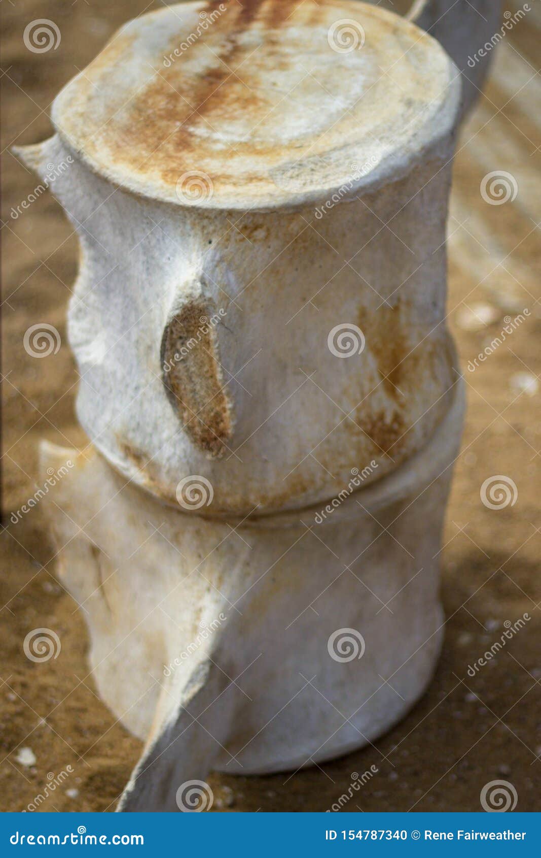 Whale bones stock photo. Image of whale, beach, spine - 154787340