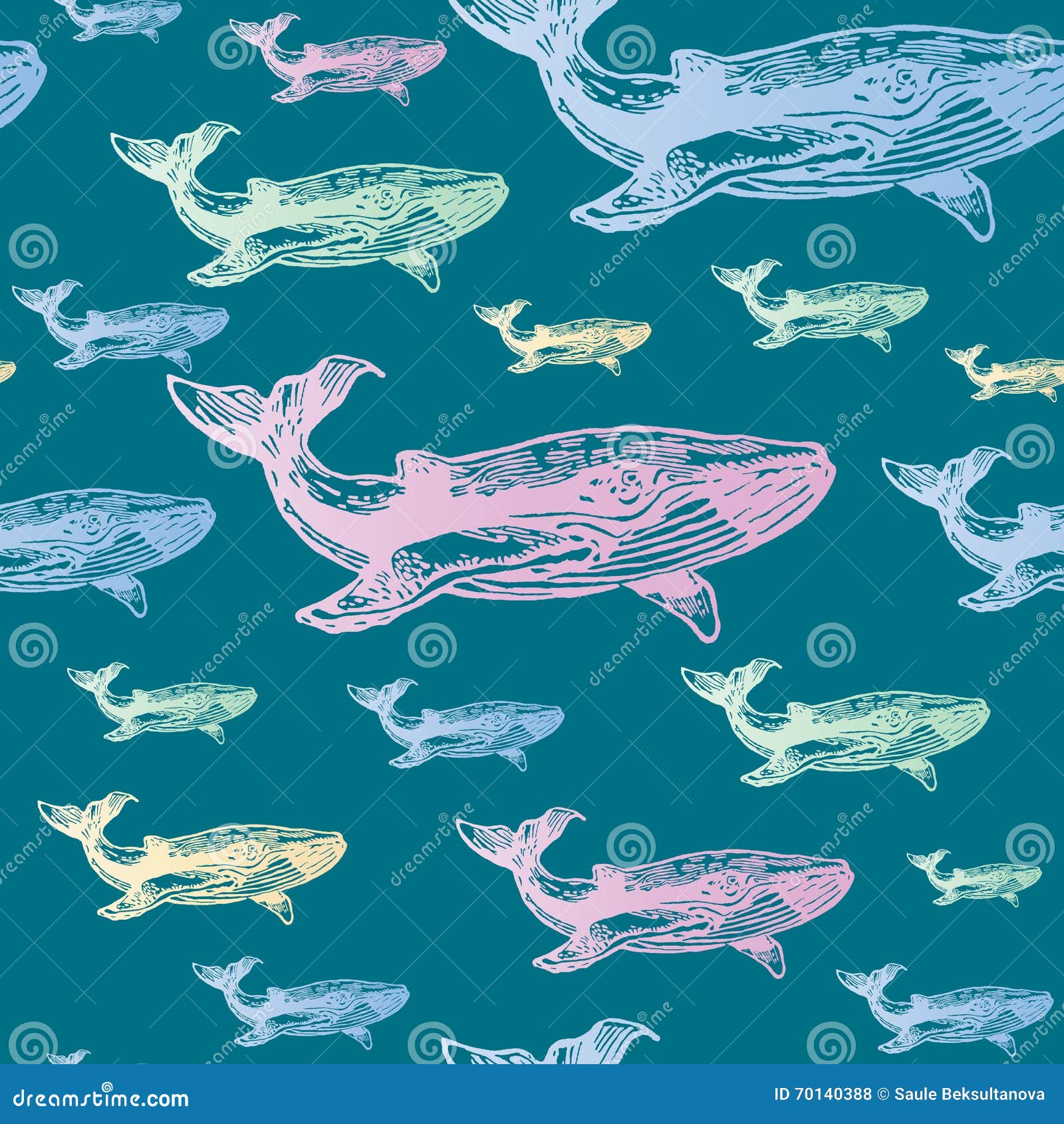 Whale Colourful Seamless Pattern. Stock Illustration - Illustration of ...