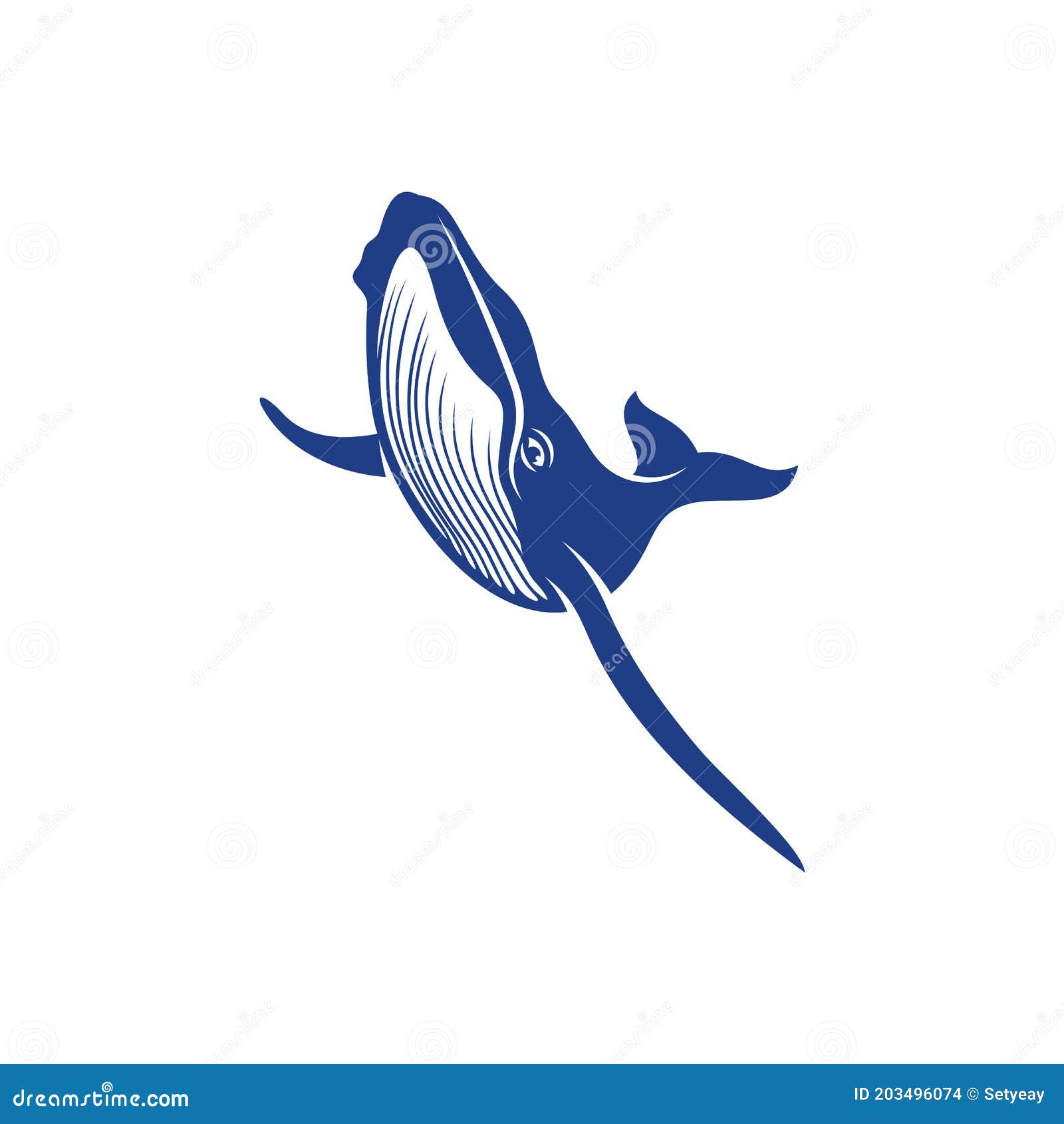 Whale Design Vector, Creative Whale Illustration Template Stock Vector ...