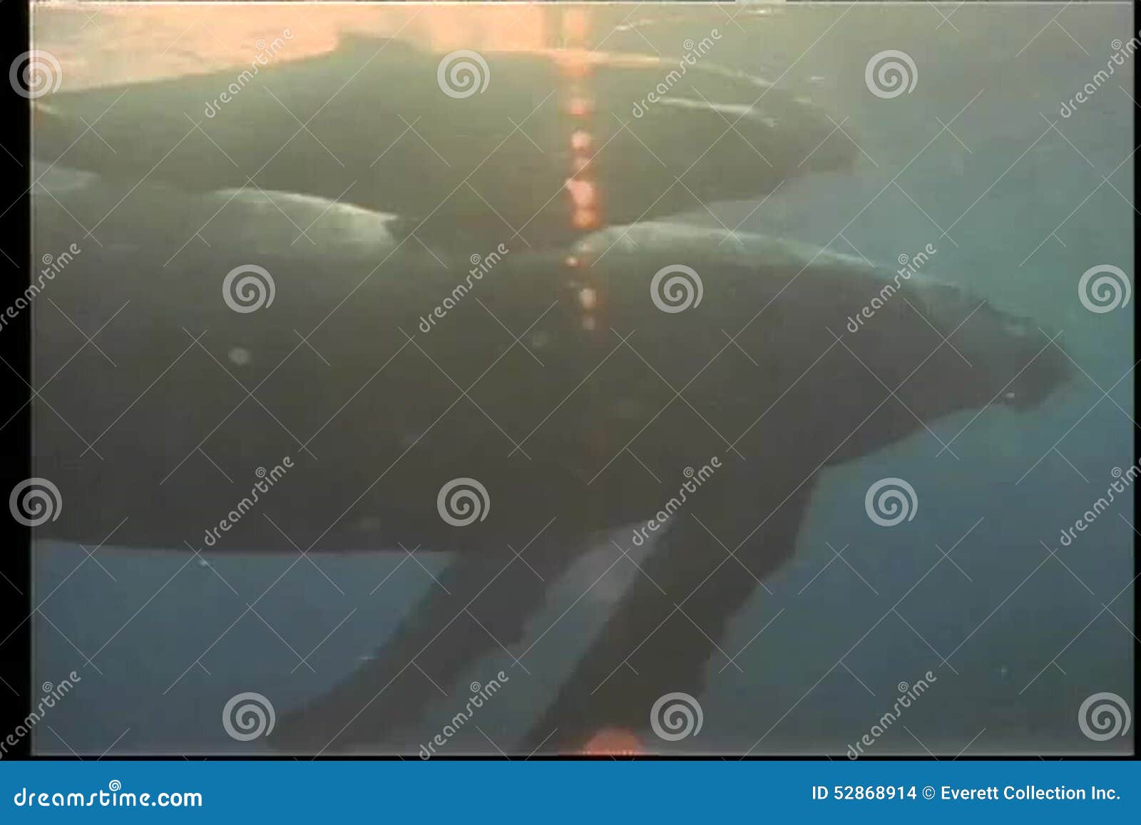 People Swimming Ocean Stock Footage & Videos - 12,020 Stock Videos