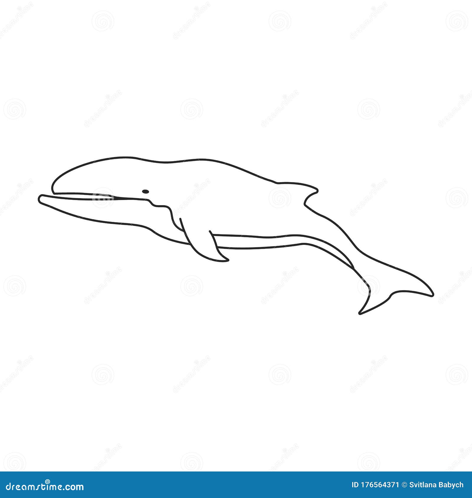 Whale Humpback Vector Icon.Outline Vector Icon Isolated on White ...