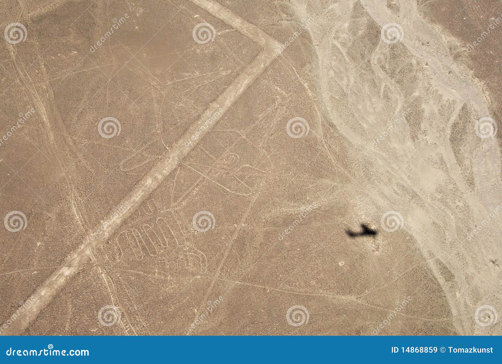 Whale, Nazca lines stock image. Image of aerial, destination - 14868859