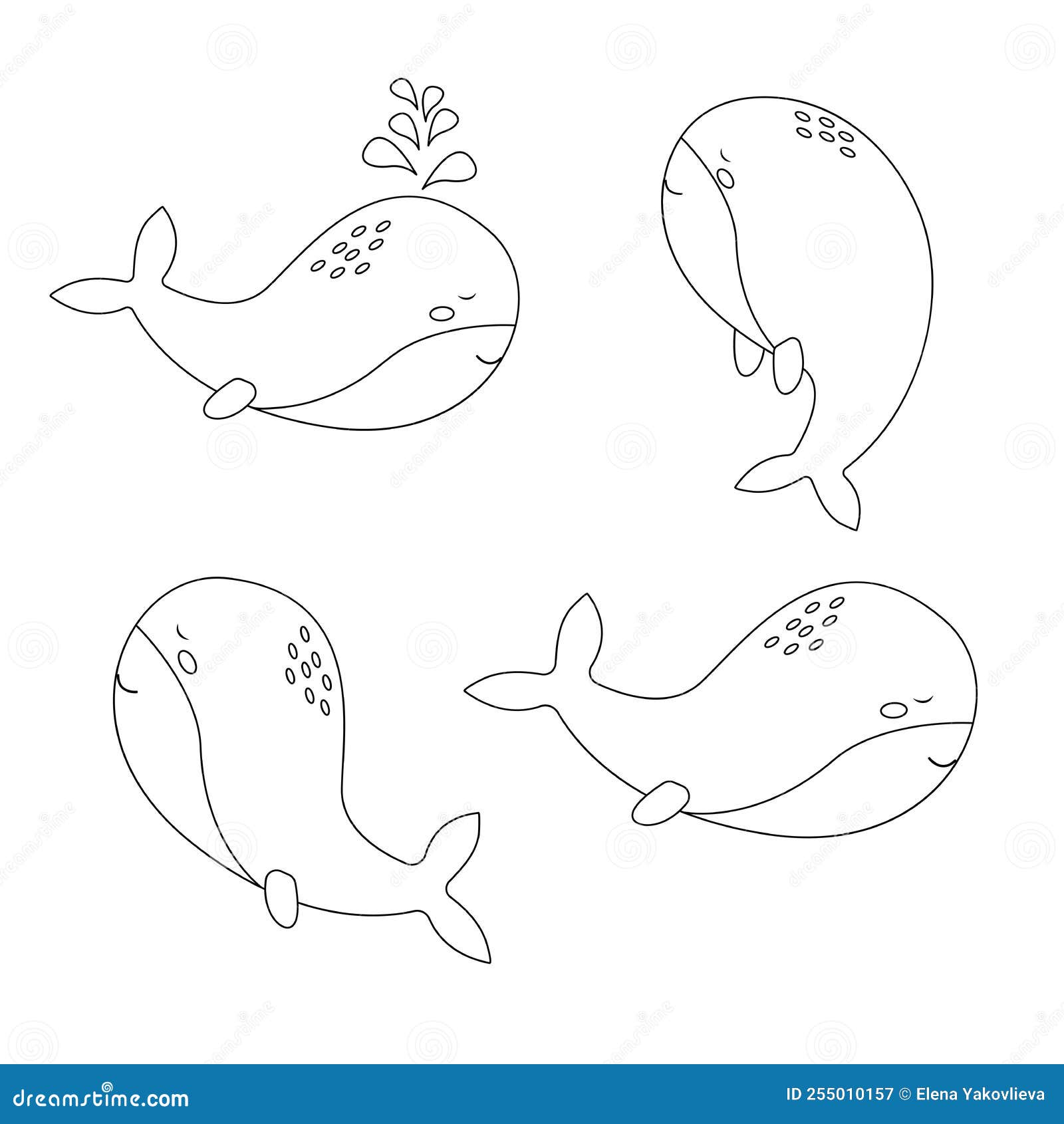 Whale in Outline Style. Vector Illustration Stock Vector - Illustration ...