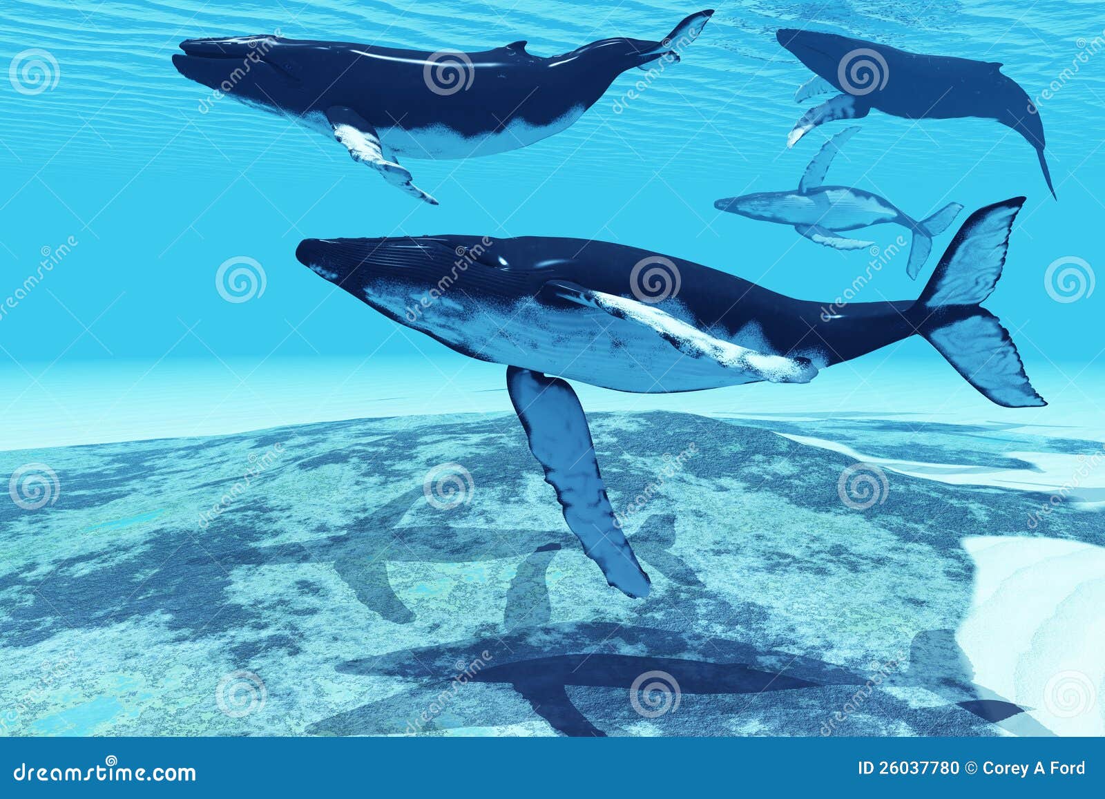 Whale Pod stock illustration. Illustration of blue, conceptual - 26037780