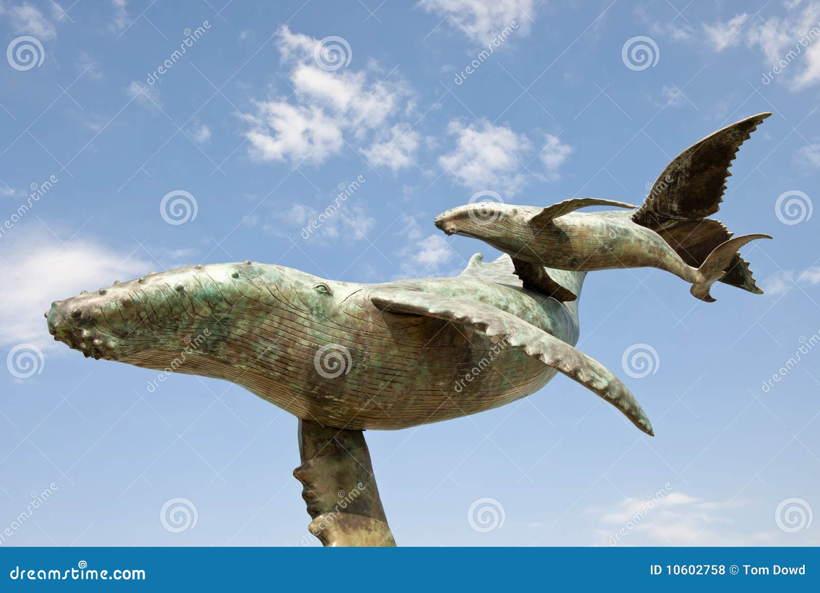 Whale sculptures stock photo. Image of pair, blue, whales - 10602758