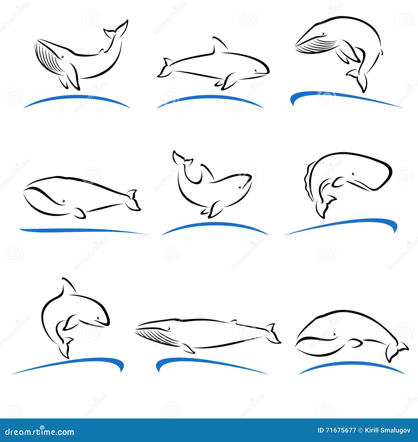 Whale set. Vector stock vector. Illustration of tail - 71675677