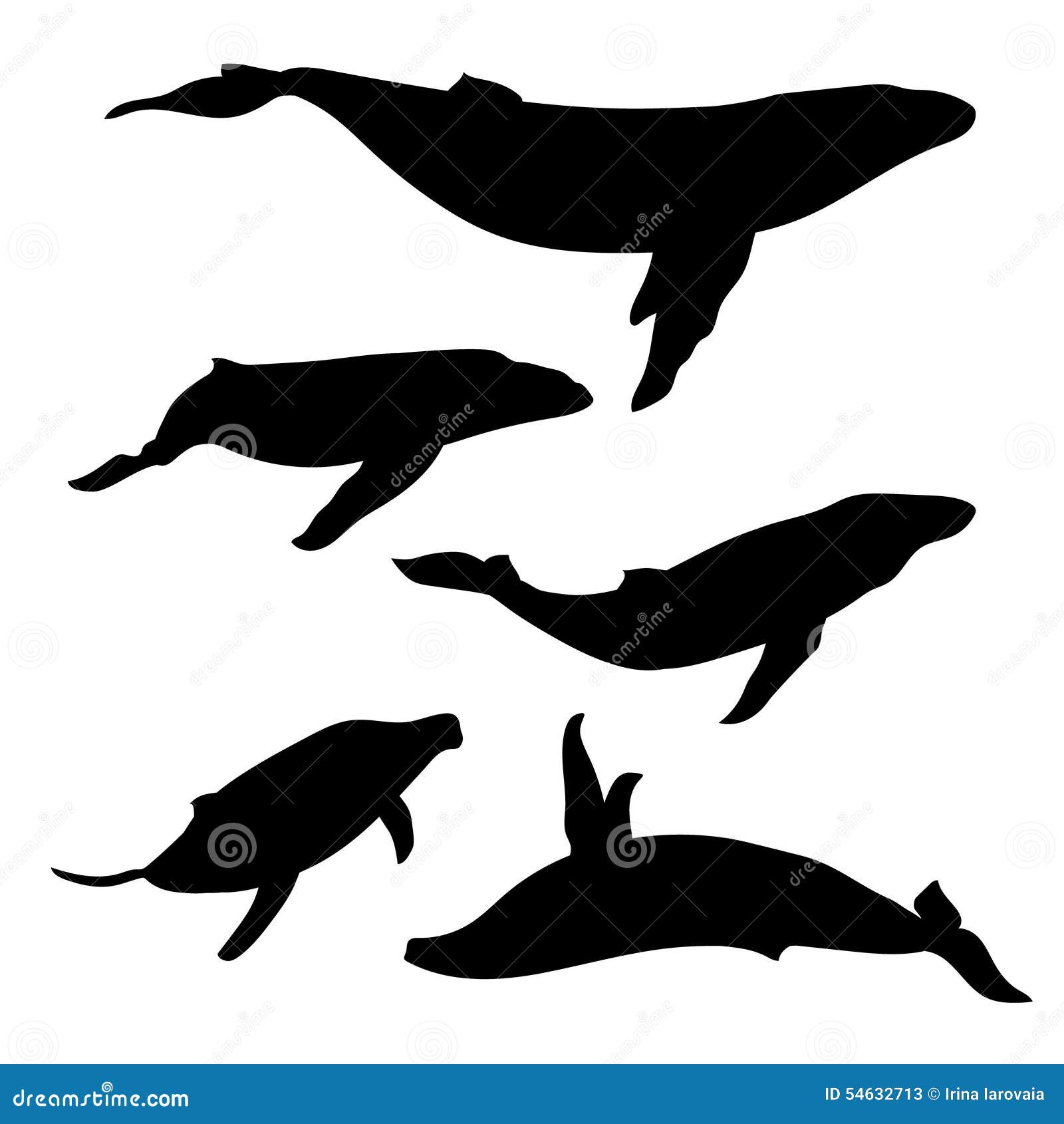 Whale set vector stock vector. Illustration of sign, icon - 54632713