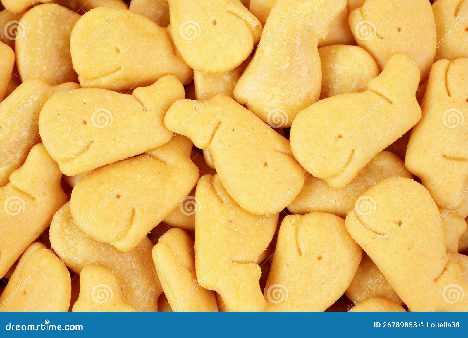 Whale Shaped Cheese Crackers Up Close Stock Image - Image of cheddar ...