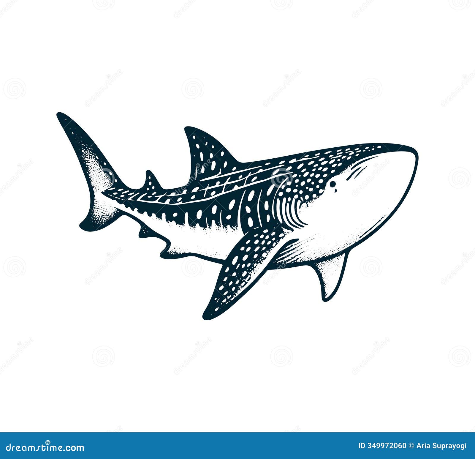 Whale Shark Hand Drawn Vector Illustration Stock Vector - Illustration ...