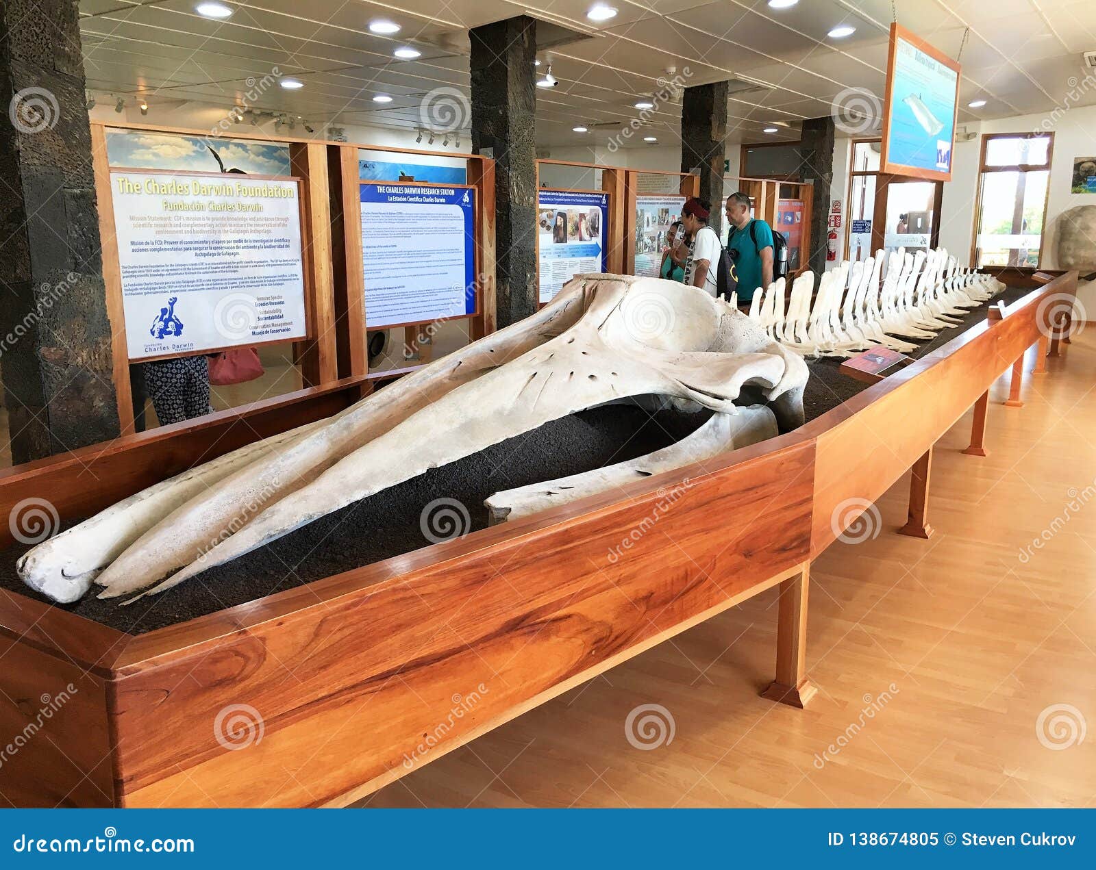 Whale Skeleton Display at the Charles Darwin Center, Santa Cruz Island ... Whale Skeleton Display at the Charles Darwin Center, Santa Cruz Island ...