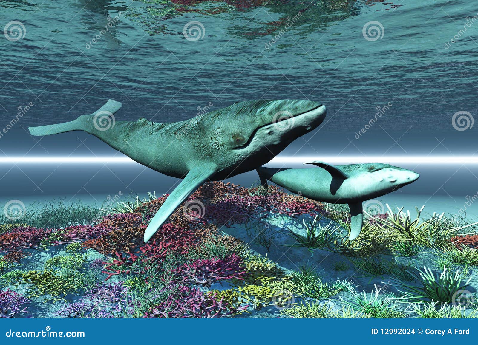Whale Song stock illustration. Illustration of swim, life - 12992024