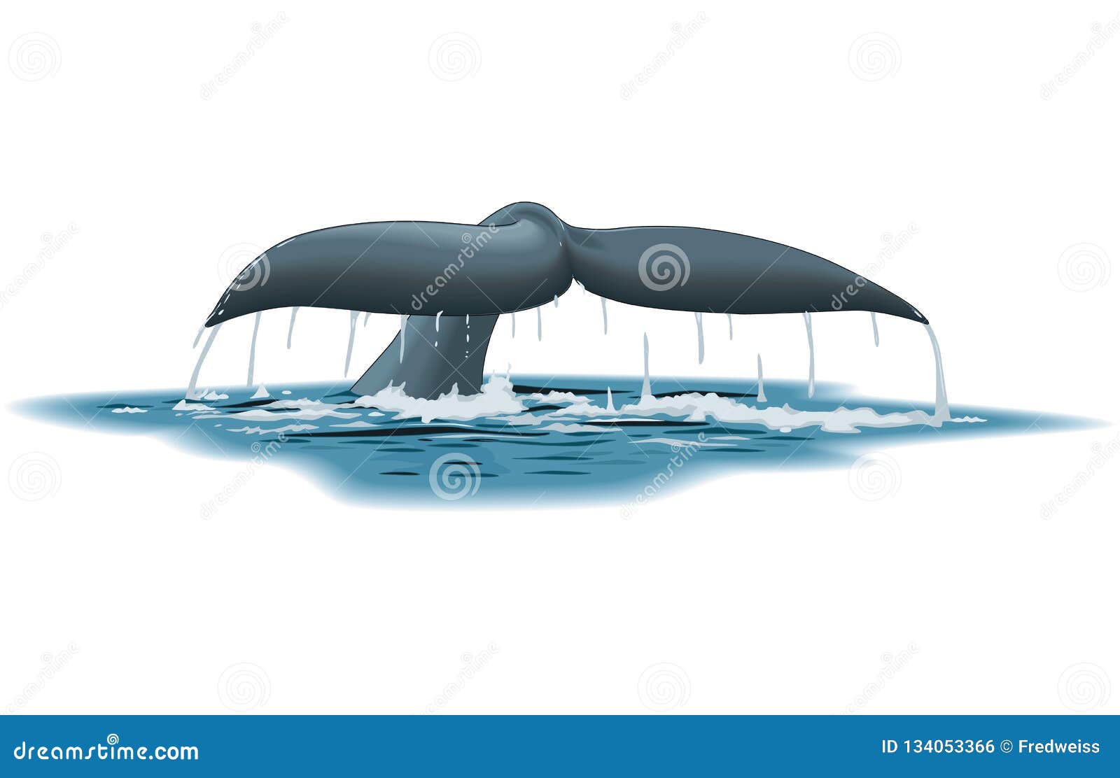 Whale Tail Cartoon Vector | CartoonDealer.com #8661247