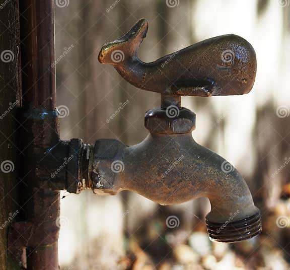 Whale Tap stock image. Image of water, sink, bathroom - 77081241