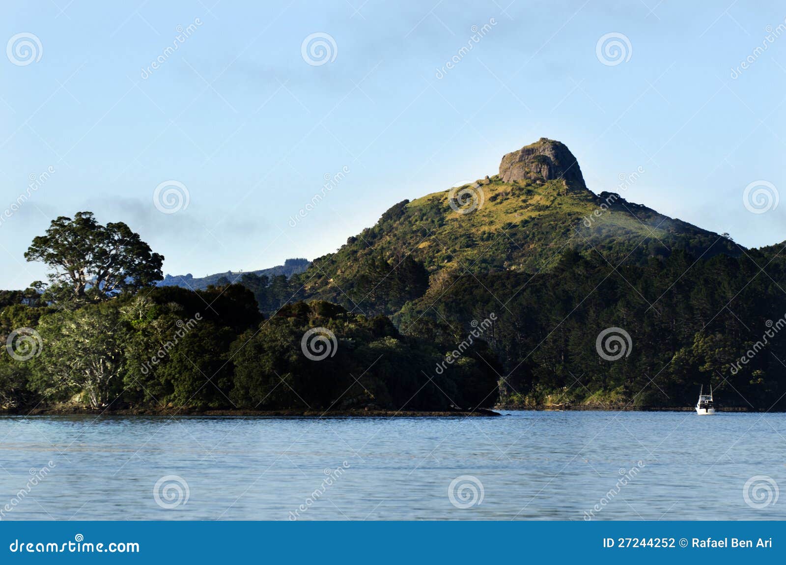 Whangaroa Harbor New Zealand Stock Photo - Image of farm, landscape ...