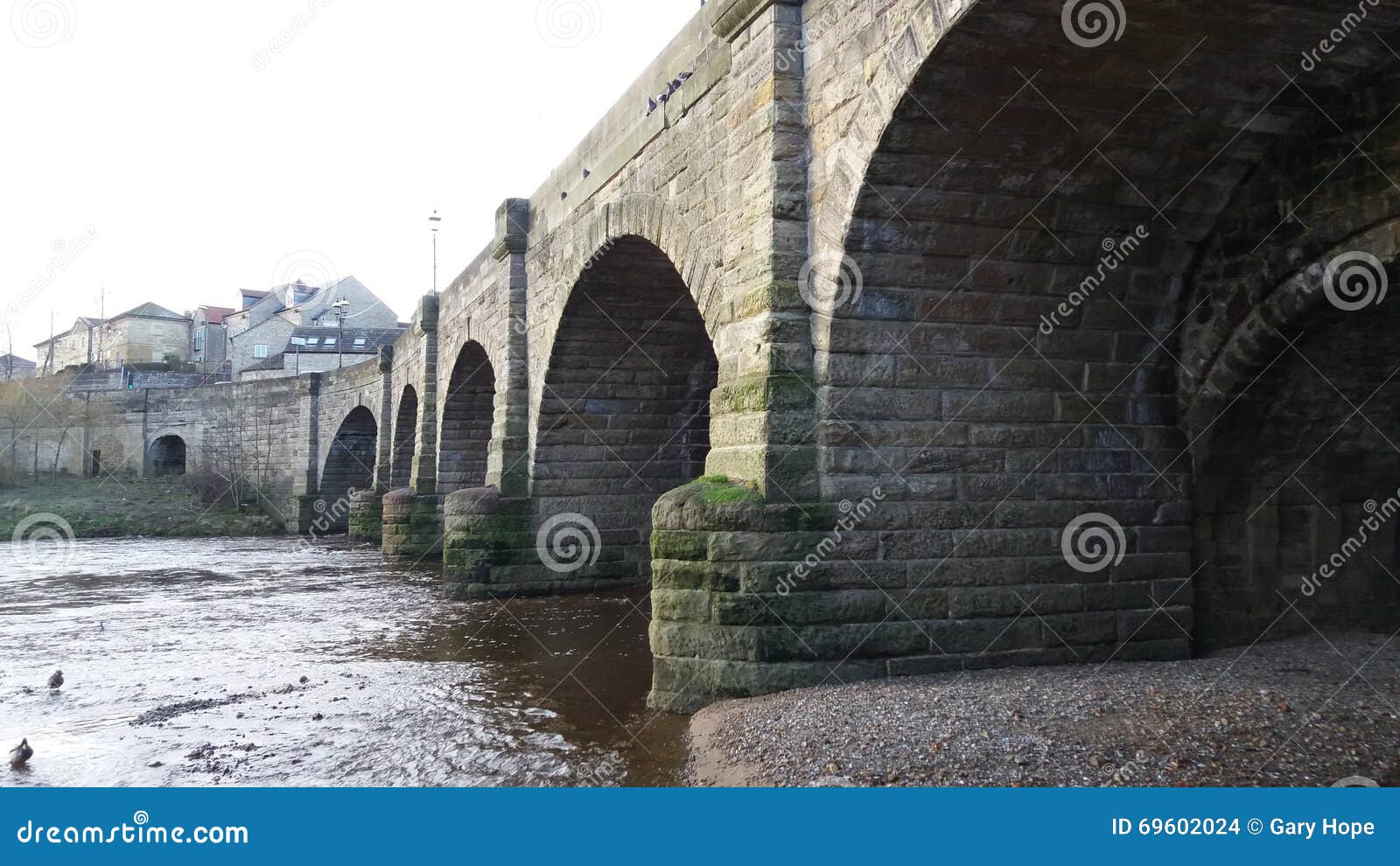 Wharfe Bridge Wetherby stock photo. Image of bridge, stone - 69602024