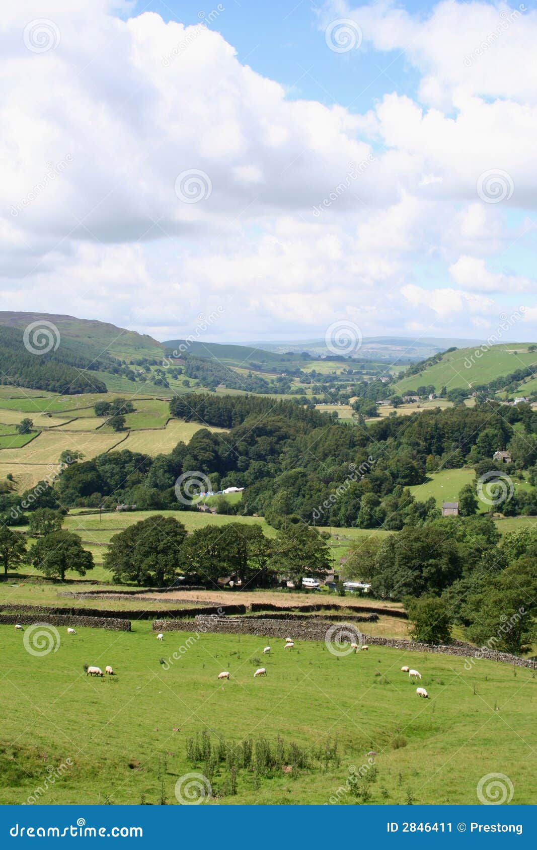 Wharfedale. stock image. Image of animals, farm, wharfedale - 2846411