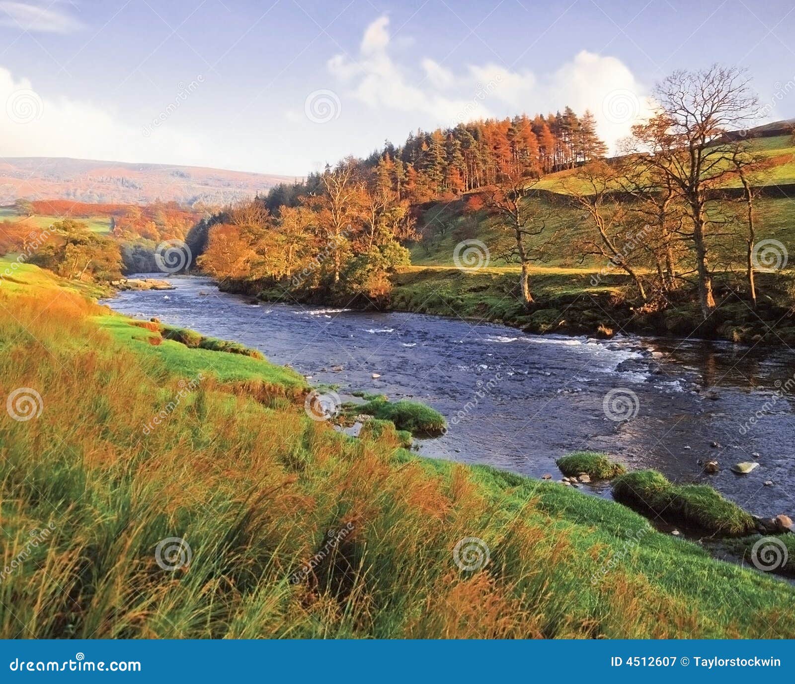 Wharfedale stock image. Image of pretty, vacation, england - 4512607