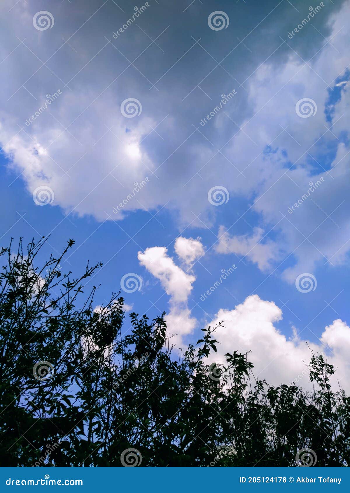 What a beautiful day stock photo. Image of grass, daytime - 205124178