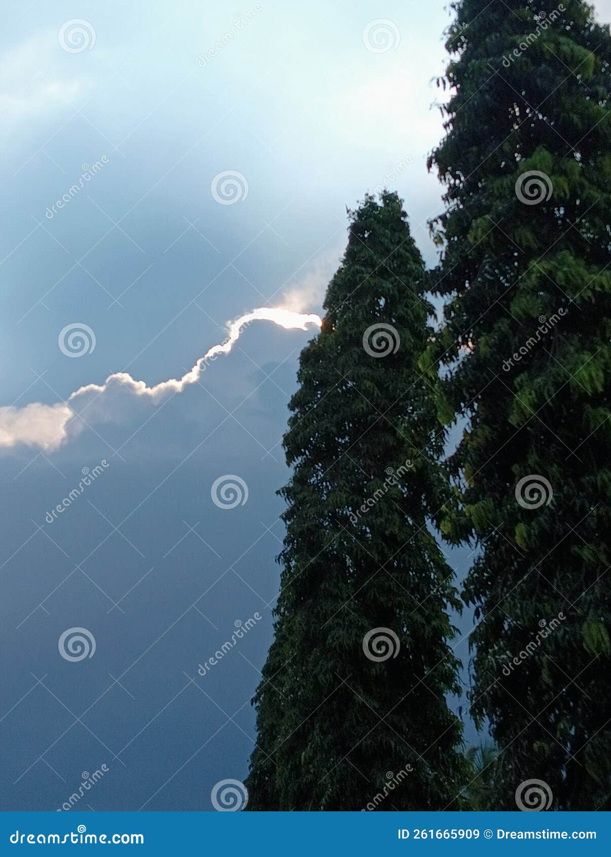 What a beautiful pic stock image. Image of wind, morning - 261665909