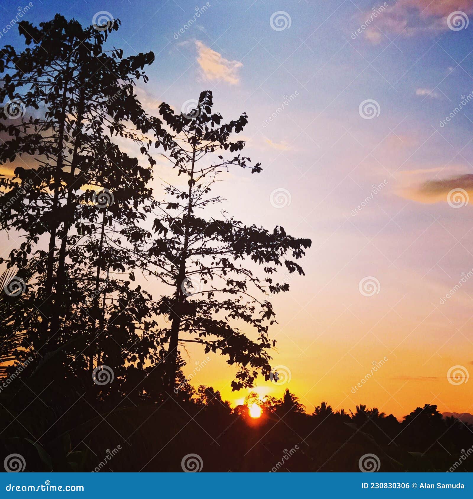 What a beautiful view stock photo. Image of evening - 230830306