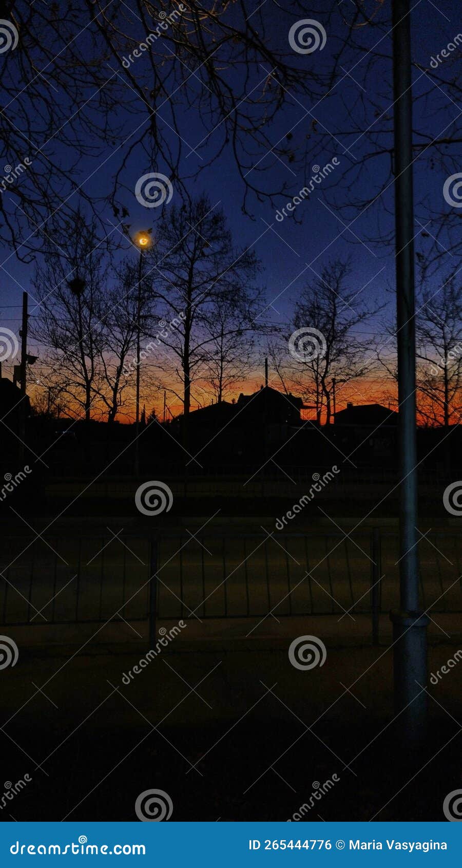 What Colors Does the Sky Have Today Stock Photo - Image of branch ...