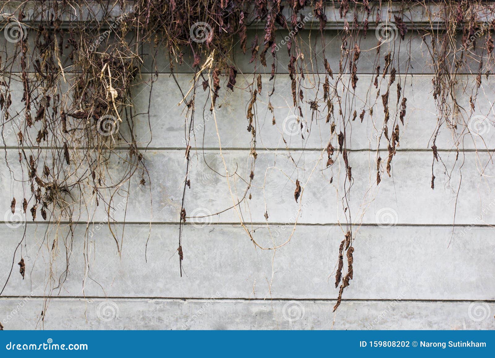 What Concrete for Various Applications. Stock Photo - Image of retro ...
