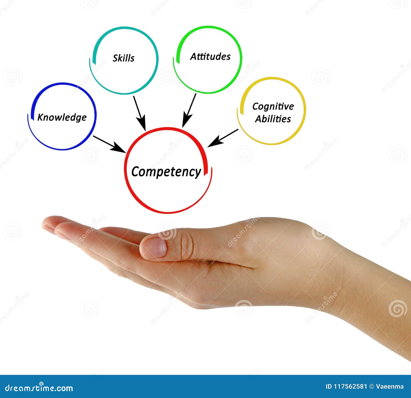 3,379 Competency Photos - Free & Royalty-Free Stock Photos from Dreamstime