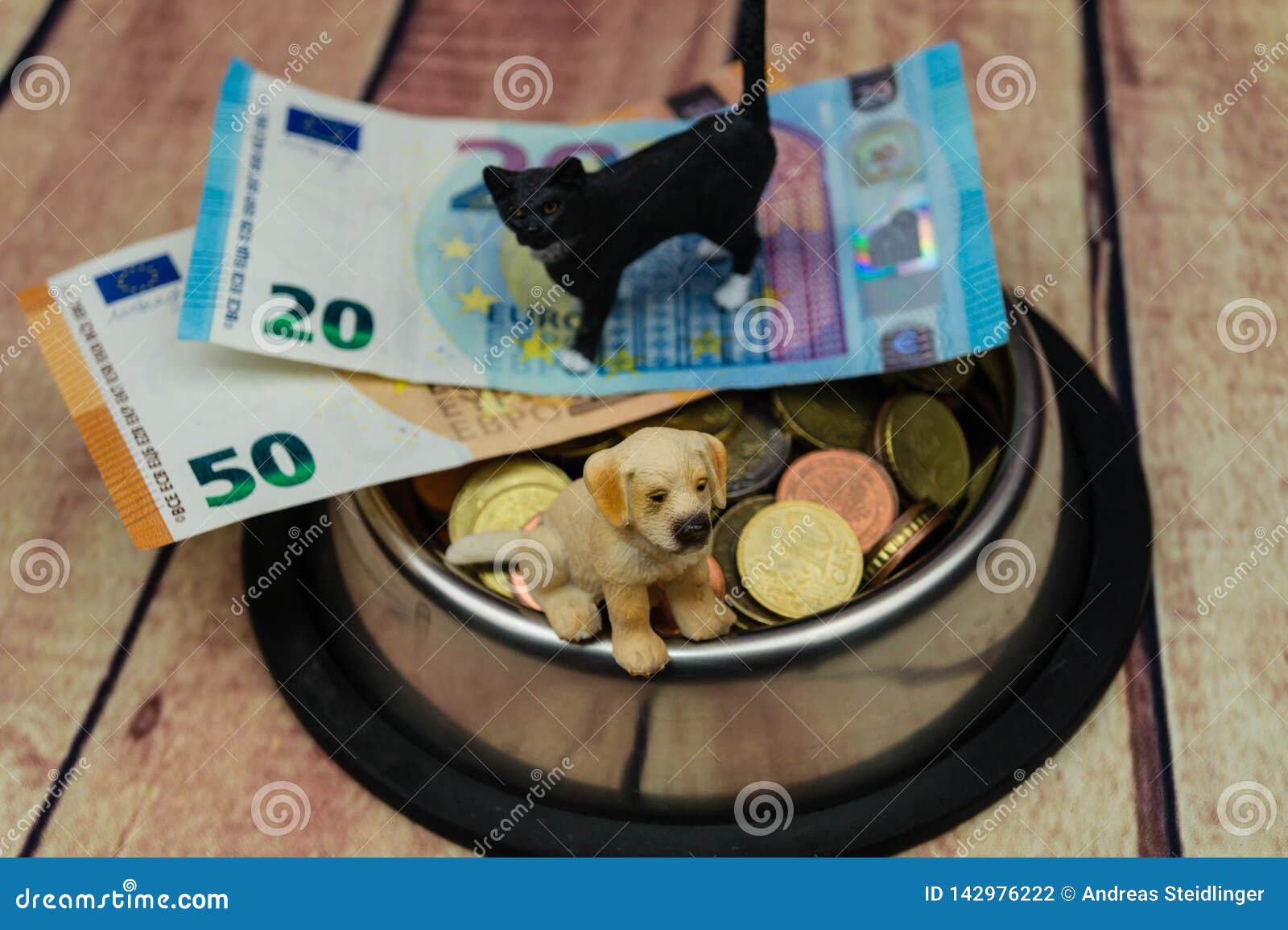 Money for the pets stock photo. Image of cost, cash - 142976222