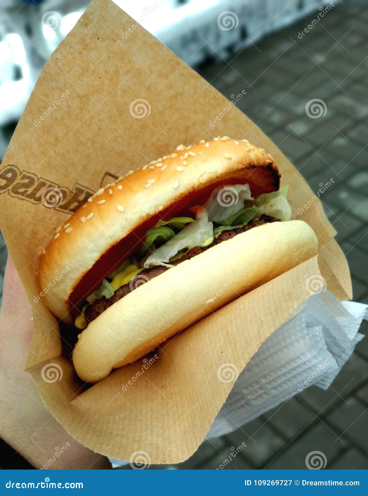 Burger for lunch stock image. Image of burger, meat - 109269727