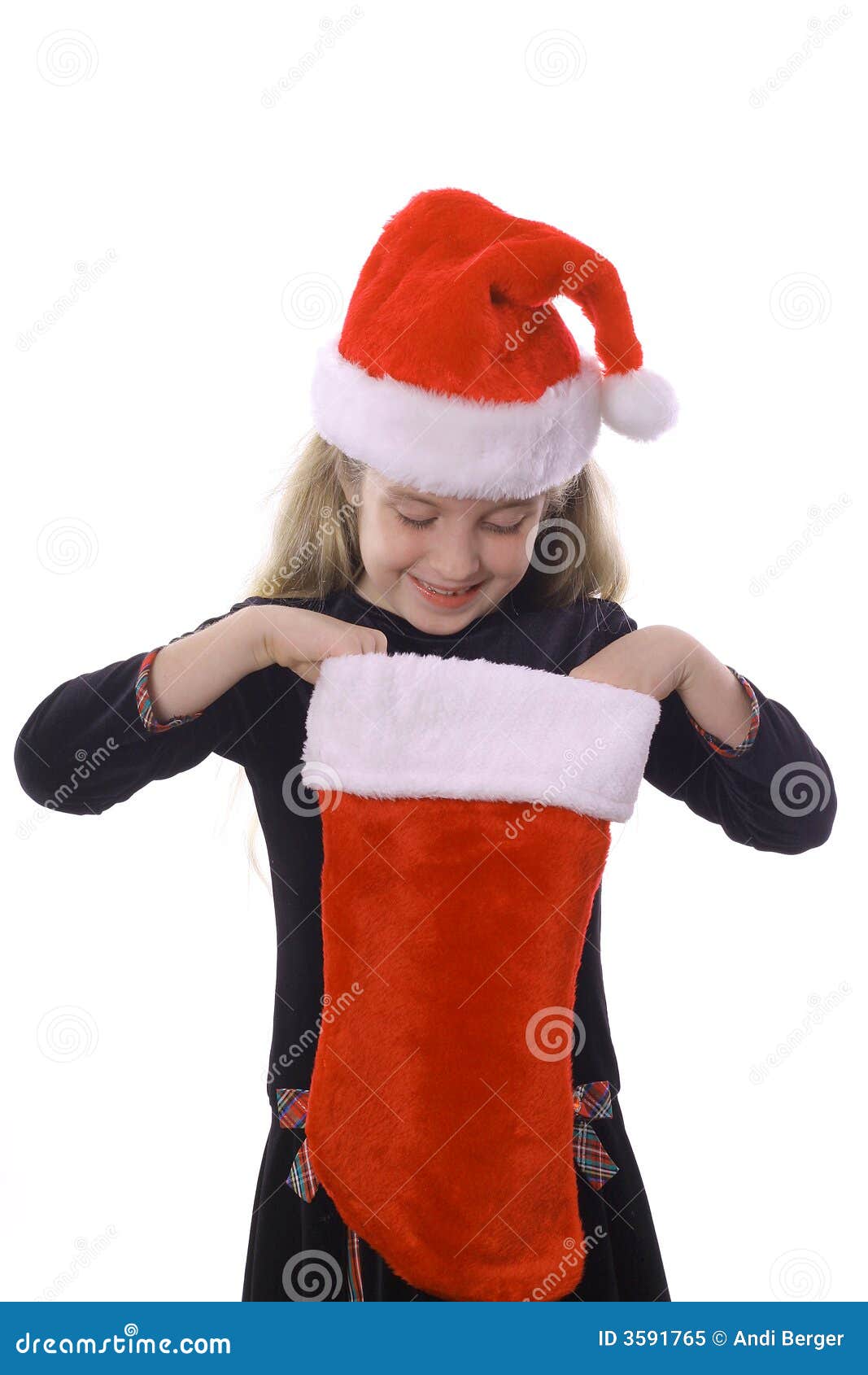 What Did Santa Bring? Picture. Image: 3591765