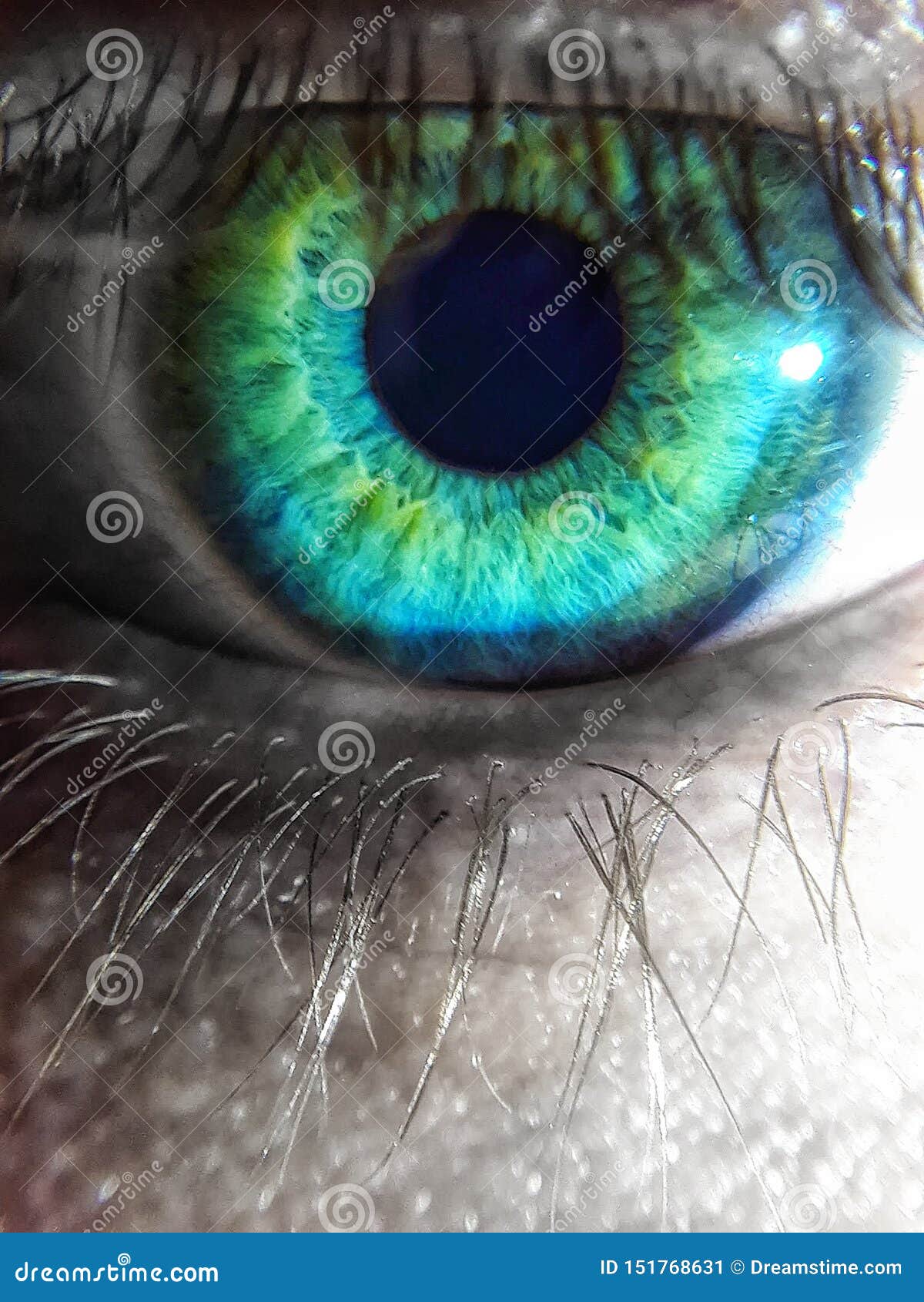 What Eye See in a World so Black and White Stock Image - Image of color ...