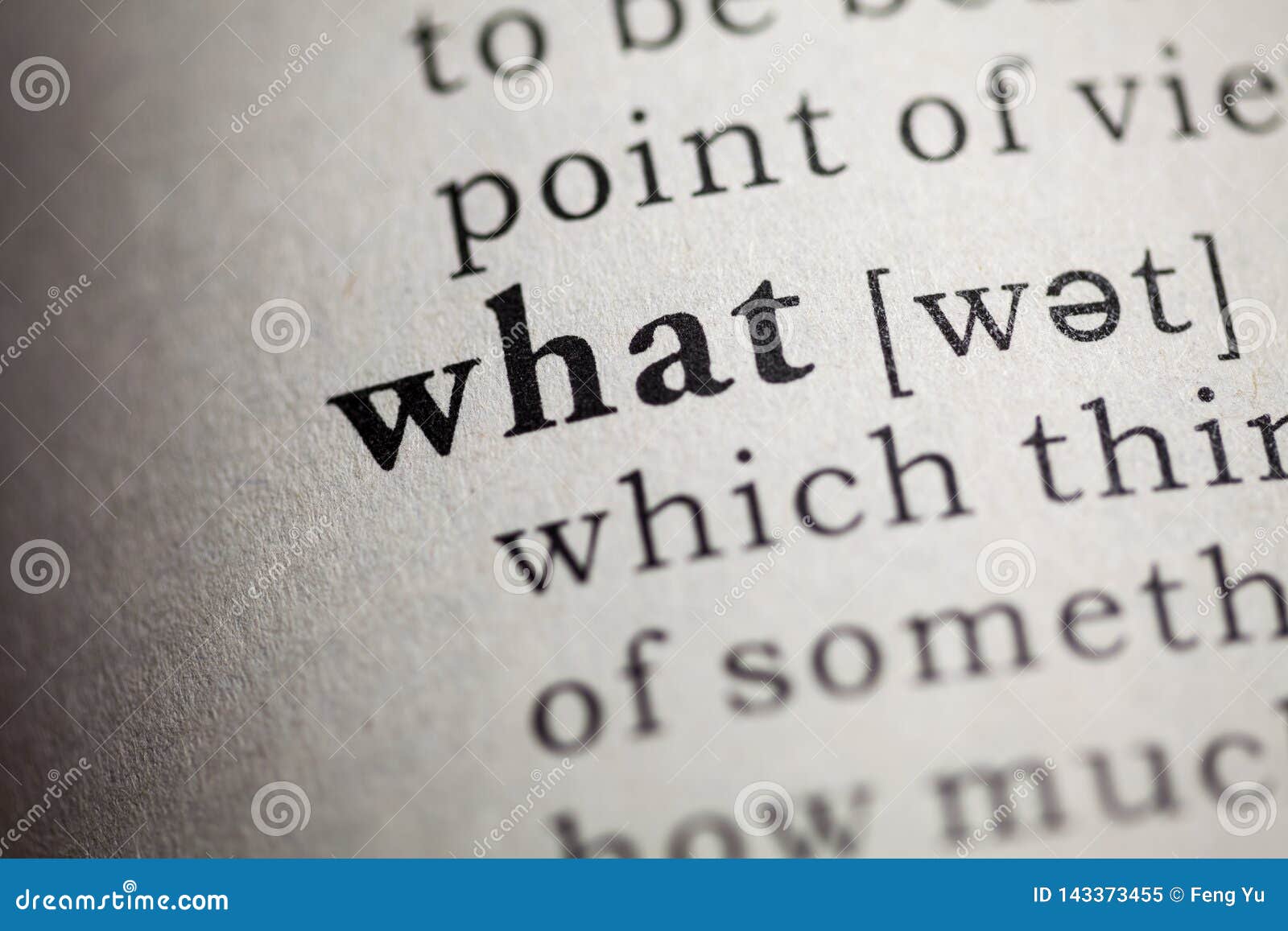 Definition of the Word What Stock Image - Image of information, text ...