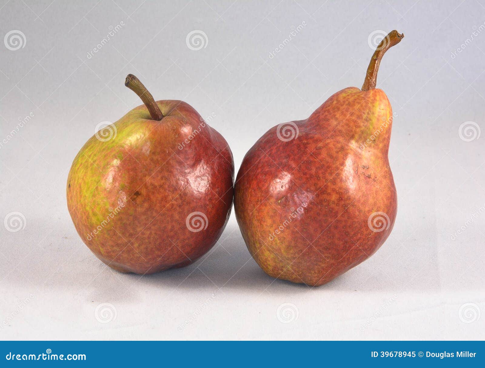 What a pear stock image. Image of tree, food, isolated - 39678945
