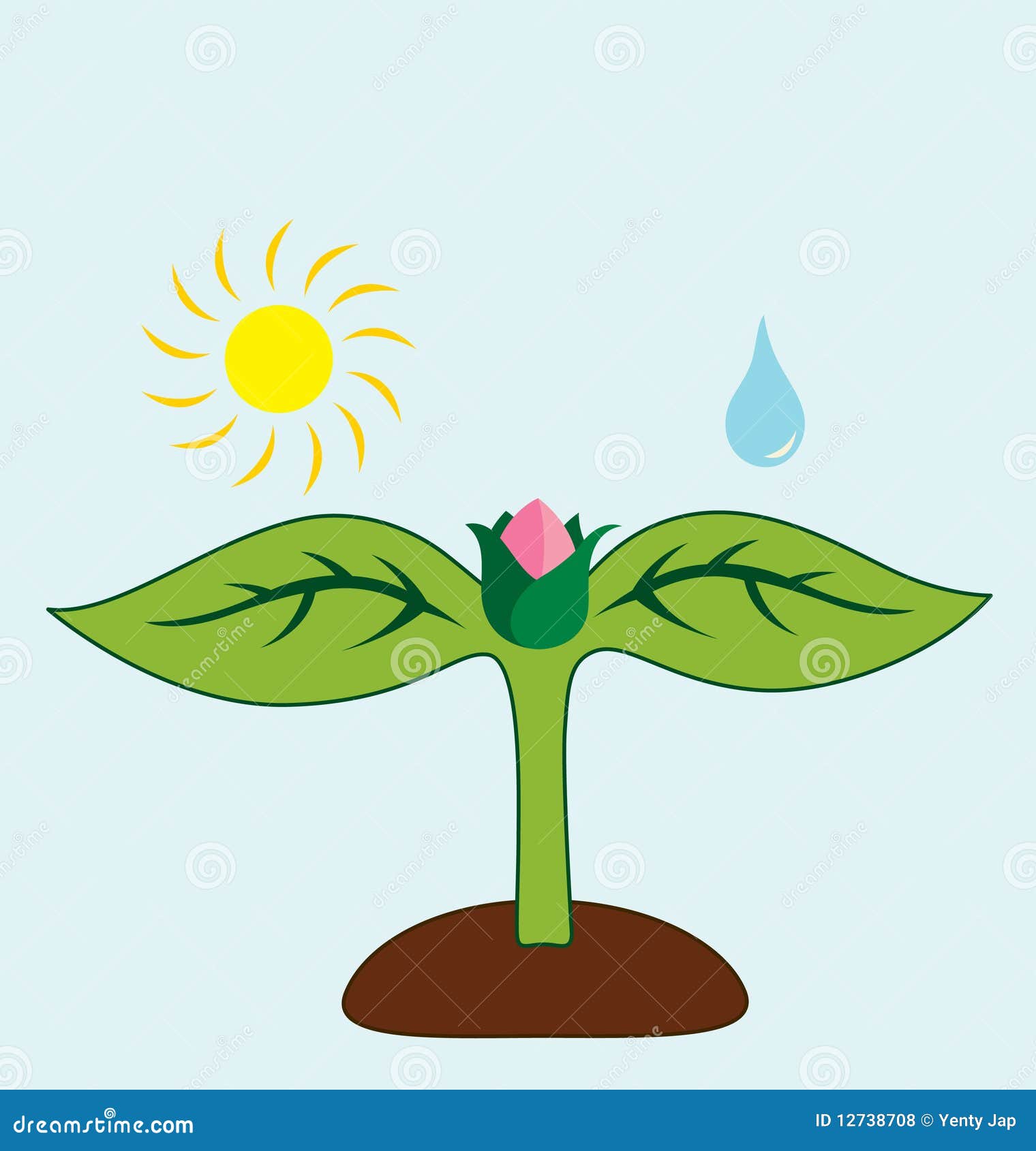 What Plant Needs stock vector. Illustration of growth - 12738708