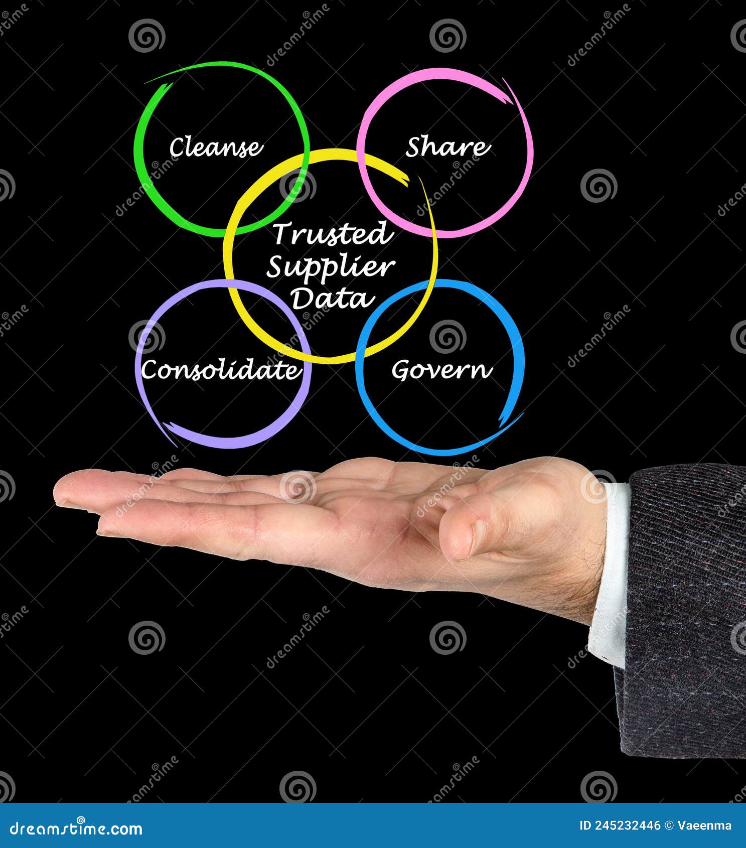 Trusted Supplier Data stock photo. Image of diagram - 245232446