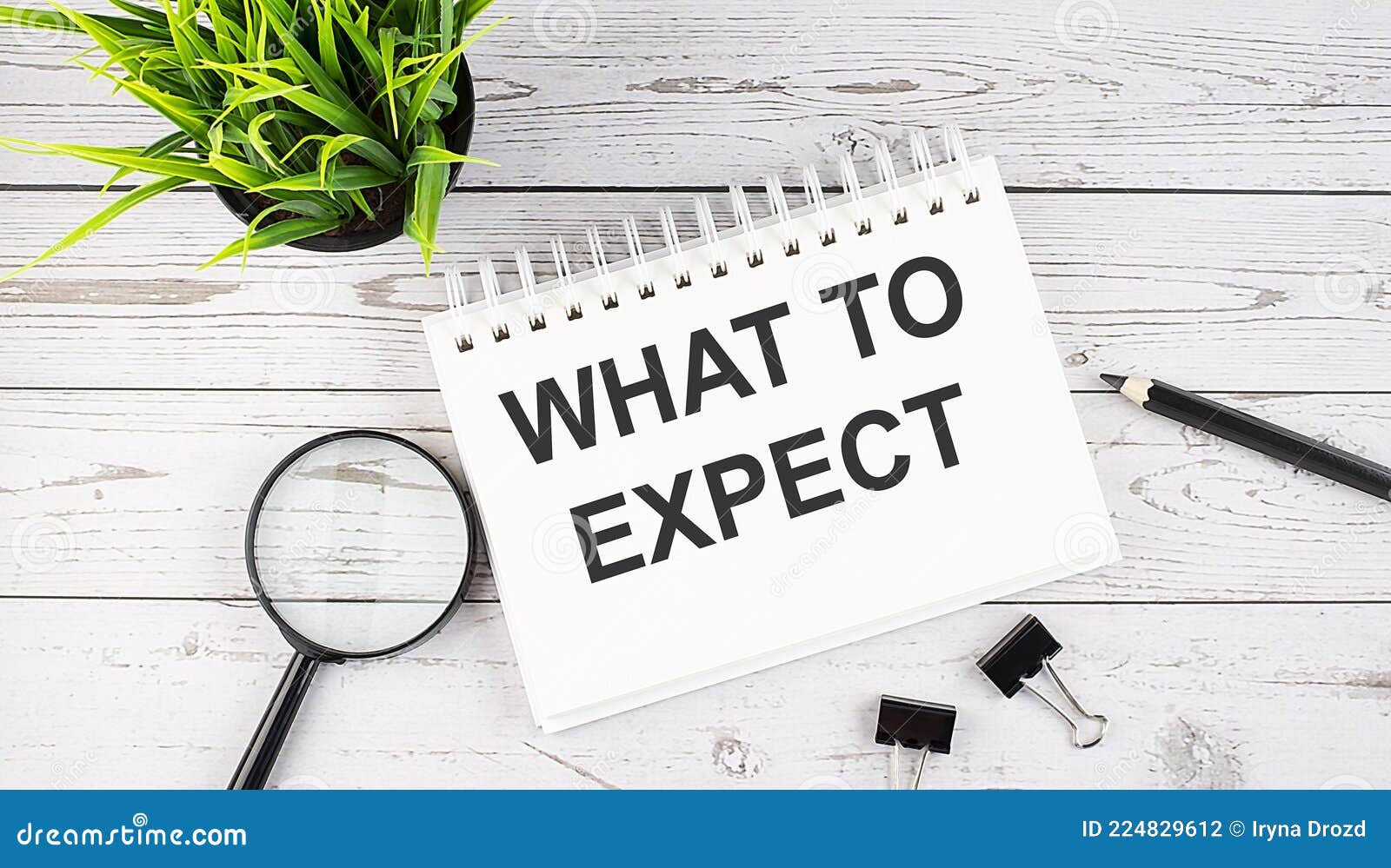 WHAT TO EXPECT Text Concept Write on Notebook with Office Tools on the ...