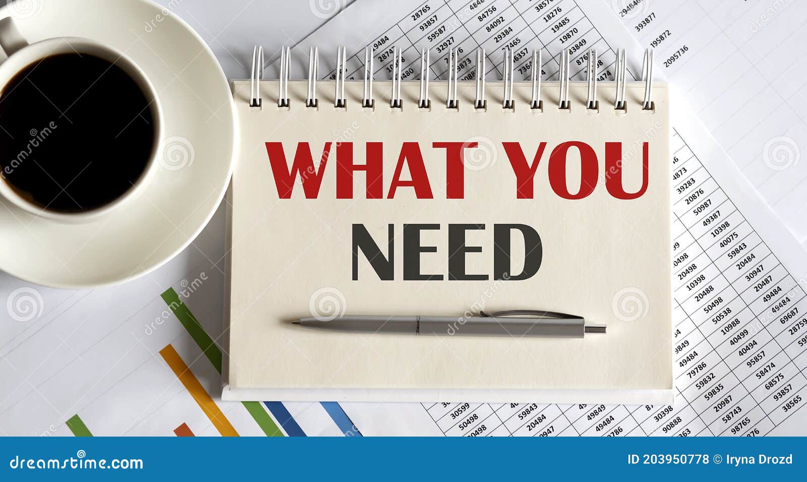 WHAT YOU NEED Text Written on a Notebook with Pen and Chart Stock Photo ...