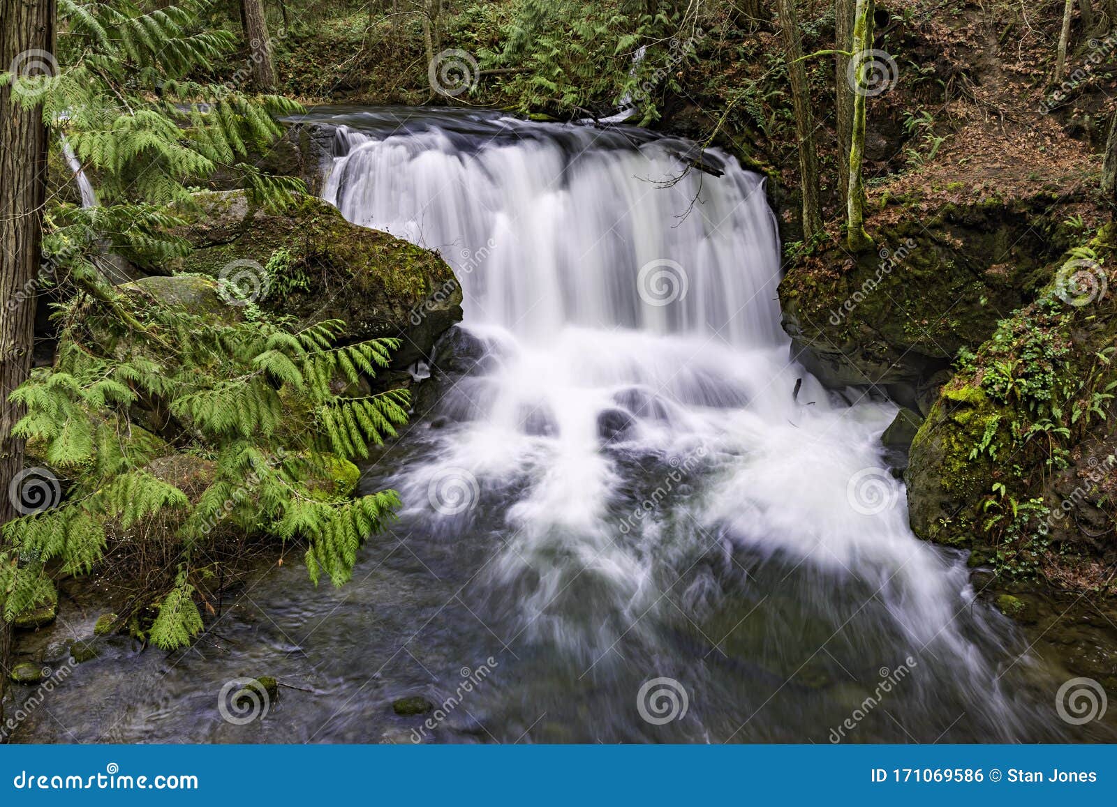 Whatcom Falls in Whatcom Falls Park Bellingham Washington USA Stock ...