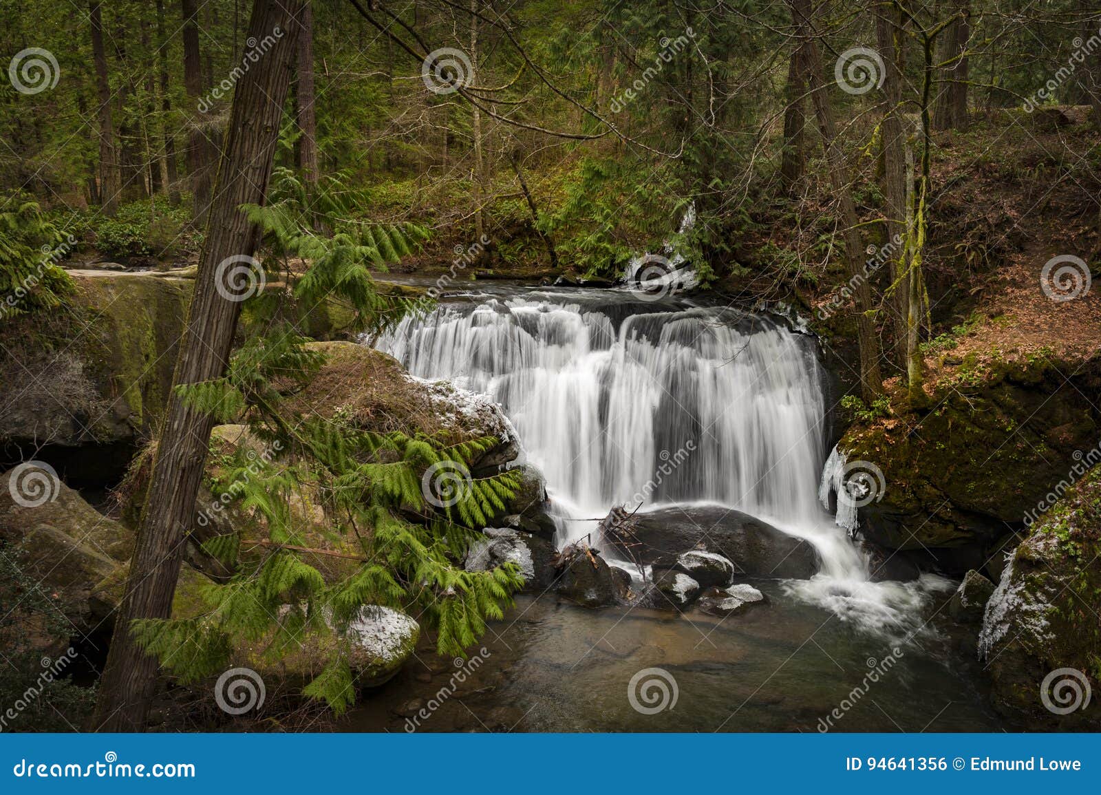 Whatcom Falls Park stock photo. Image of beautiful, falls - 94641356
