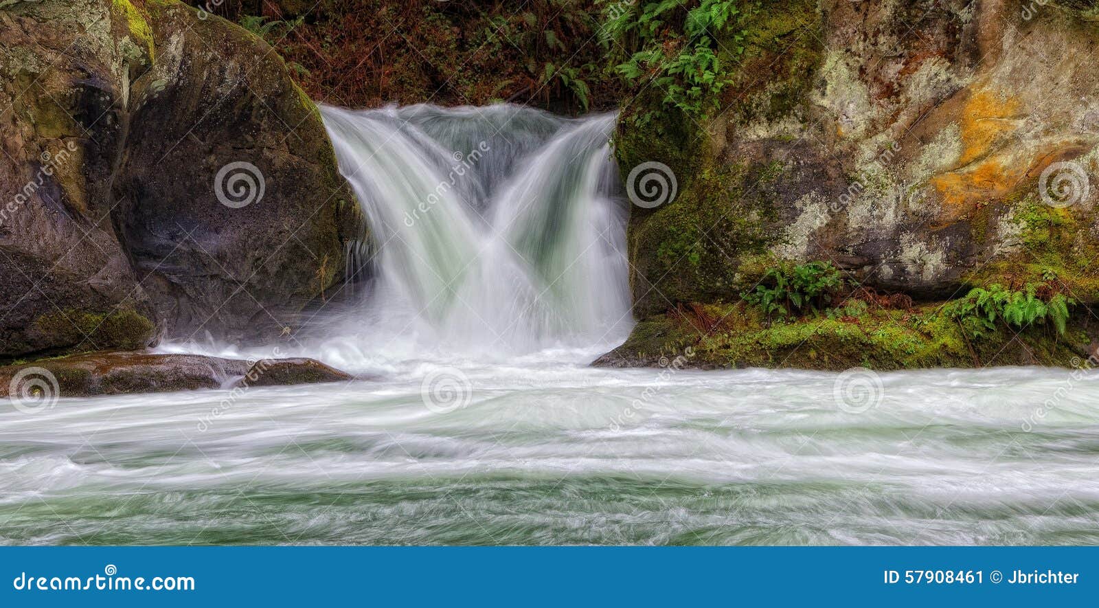 Whatcom Falls Park, Washington State Stock Image - Image of waterfall ...