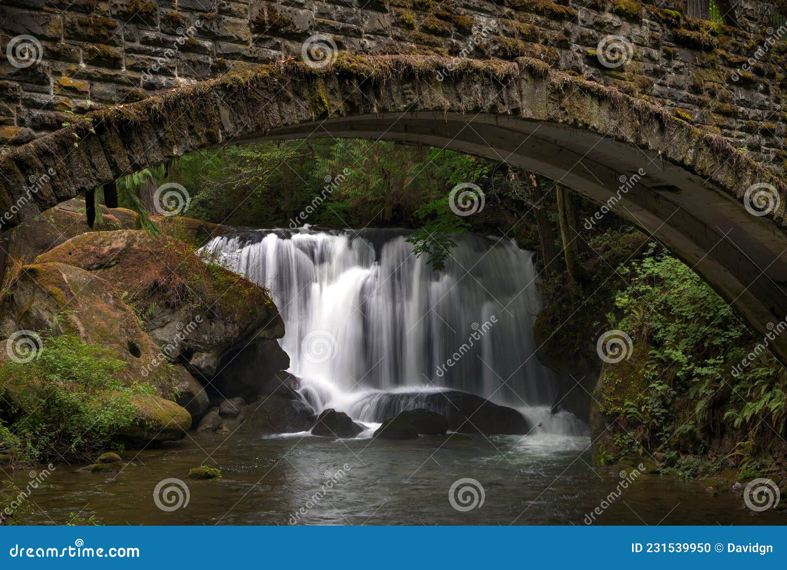 Whatcom Falls Under the Bridge Stock Photo - Image of park, hiking ...