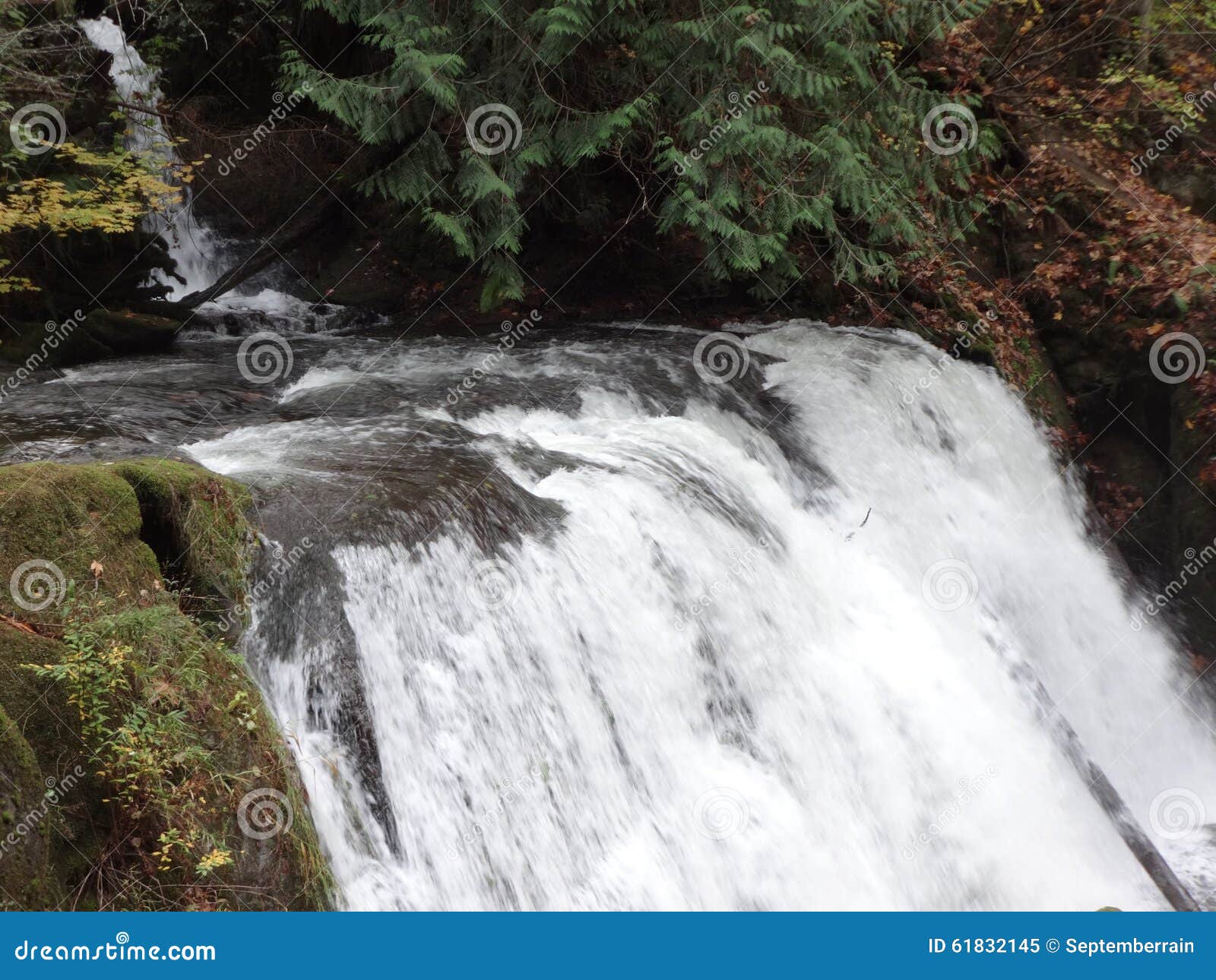Whatcom Falls in Whatcom Falls Park Stock Image - Image of creek ...