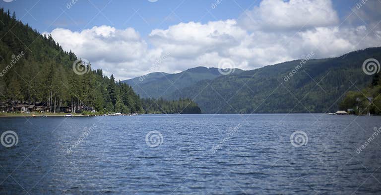 Whatcom Lake stock photo. Image of goose, waterfountain - 98167102