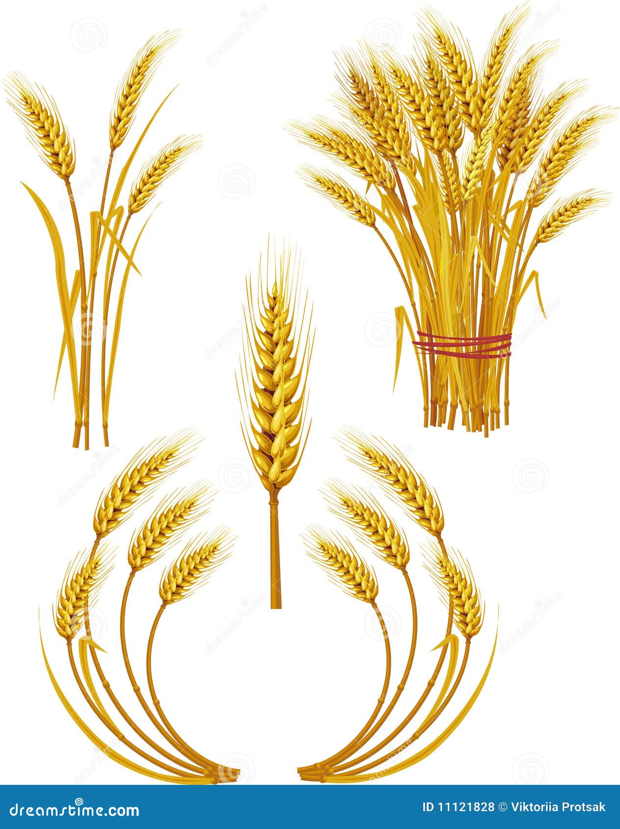 Wheat stock vector. Illustration of agriculture, food - 11121828