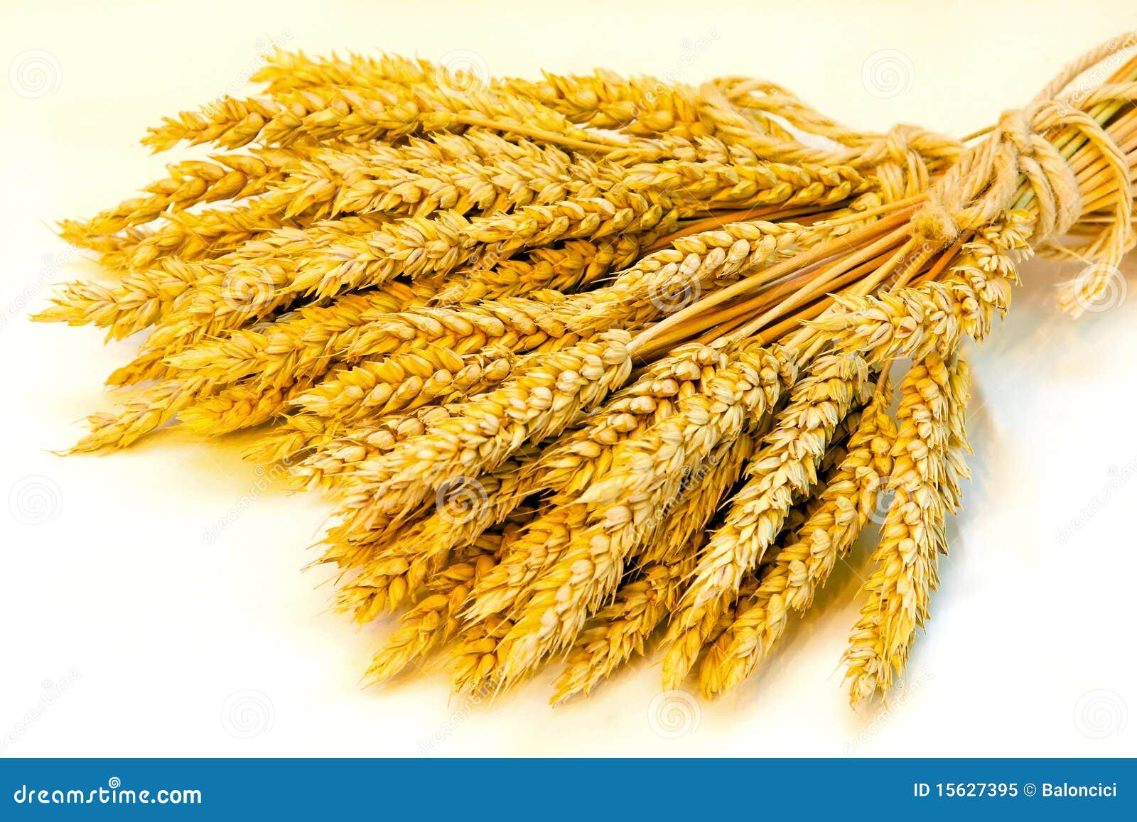 Wheat stock image. Image of wheat, grains, beam, bundle - 15627395