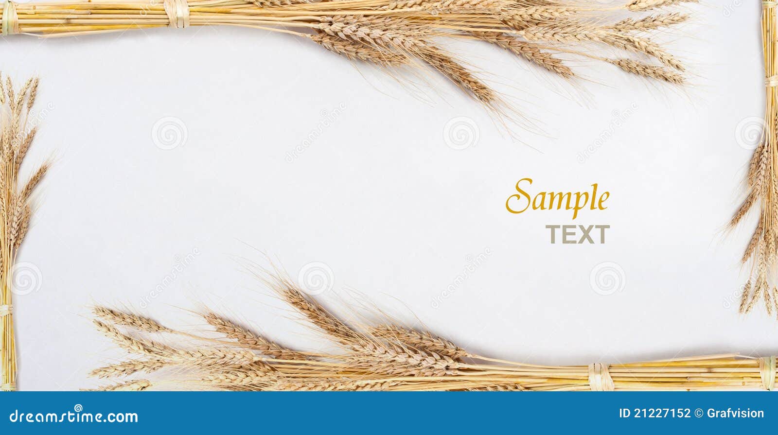 Wheat stock photo. Image of golden, plant, fall, frame - 21227152