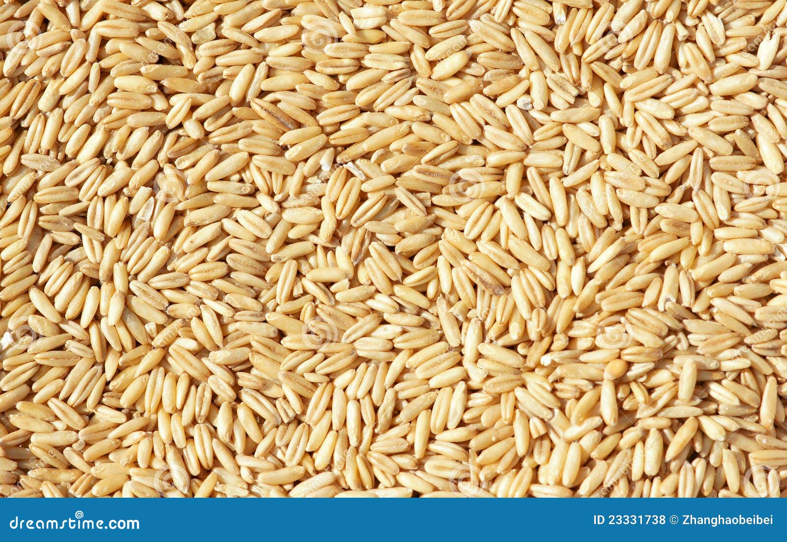 Spindly Wheat Stock Photos - Free & Royalty-Free Stock Photos from ...