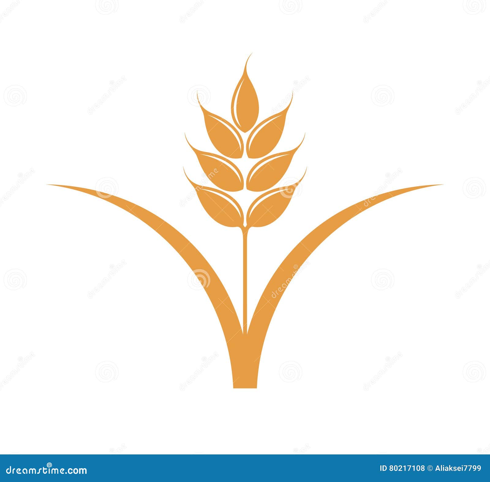 Wheat stock vector. Illustration of food, abstract, bakery - 80217108